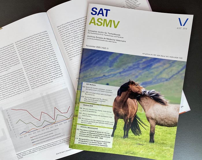 Bildungsstunden für Gutachterinnen und Gutachter | GST